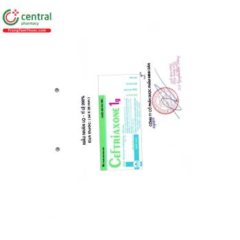 Thuốc kháng sinh Ceftriaxone 1g Dược Minh Dân điều trị nhiễm khuẩn nặng