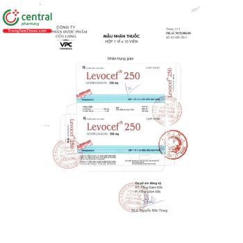 Thuốc Levocef 250 điều trị nhiễm khuẩn gây viêm xoang cấp, viêm phổi