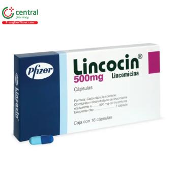 Thuốc Lincocin 500mg Pfizer (hộp 16 viên) điều trị viêm phổi, nhiễm ...