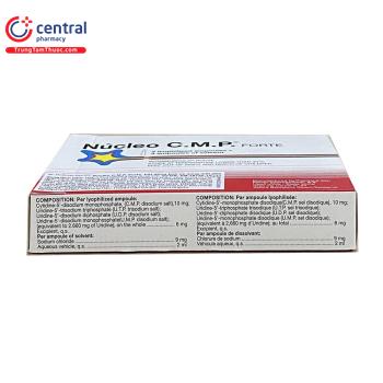 Thuốc Núcleo C.M.P Forte - Thuốc tiêm điều trị tổn thương thần kinh