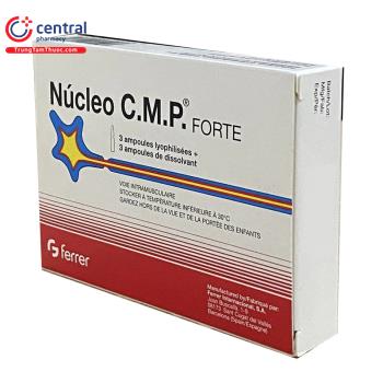 Thuốc Núcleo C.M.P Forte - Thuốc tiêm điều trị tổn thương thần kinh