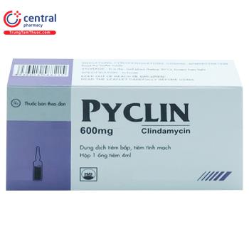 [CHÍNH HÃNG] Thuốc Pyclin 600 - thuốc điều trị nhiễm khuẩn hiệu quả