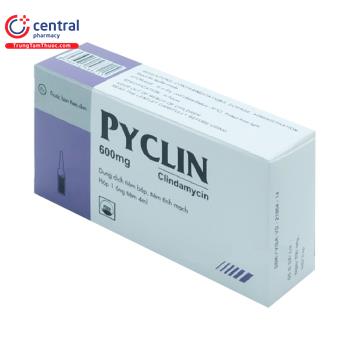 [CHÍNH HÃNG] Thuốc Pyclin 600 - thuốc điều trị nhiễm khuẩn hiệu quả