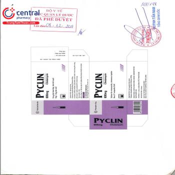 [CHÍNH HÃNG] Thuốc Pyclin 600 - thuốc điều trị nhiễm khuẩn hiệu quả