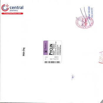 [CHÍNH HÃNG] Thuốc Pyclin 600 - thuốc điều trị nhiễm khuẩn hiệu quả