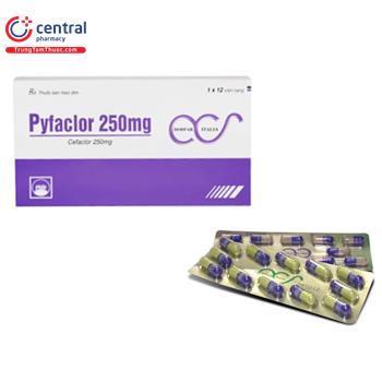 [CHÍNH HÃNG] Thuốc Pyfaclor 250mg kháng sinh điều trị nhiễm khuẩn