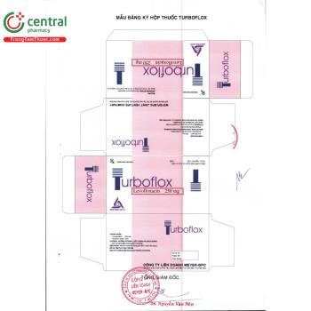 Thuốc kháng sinh Turboflox 250mg - Điều trị các bệnh do nhiễm khuẩn