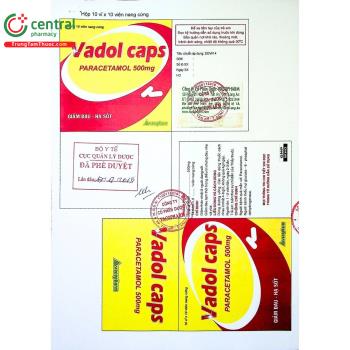 Thuốc Vadol caps 500mg (Paracetamol) - Hạ sốt, giảm đau nhẹ đến vừa