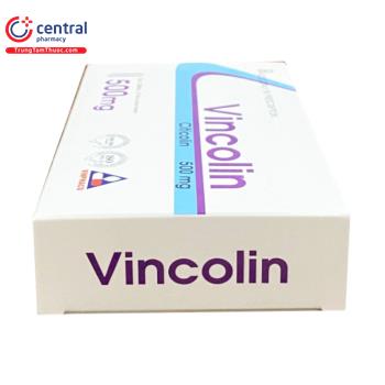 [CHÍNH HÃNG] Thuốc Vincolin 500mg điều trị rối loạn ý thức hiệu quả
