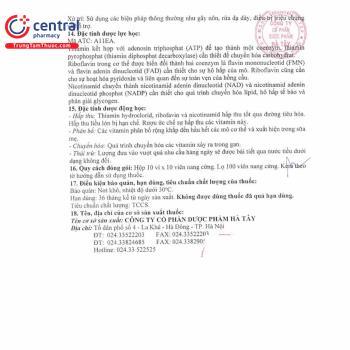 [CHÍNH HÃNG] Thuốc Trivitamin B Complex - Cung cấp vitamin nhóm B