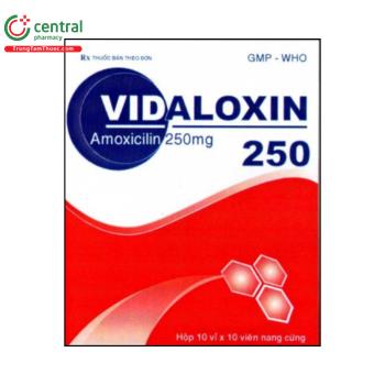 Thuốc Vidaloxin 250mg điều trị nhiễm khuẩn đường hô hấp trên và dưới
