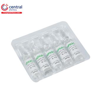 Thuốc Vinphacine 500mg/2ml - Điều trị nhiễm khuẩn nặng