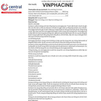 Thuốc Vinphacine 500mg/2ml - Điều trị nhiễm khuẩn nặng