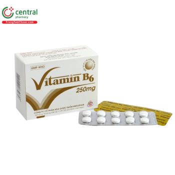 Thuốc Vitamin B6 250mg Mekophar - Bổ sung vitamin B6, phòng ngừa co giật
