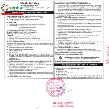 Thuốc Vitamin B6 250mg Vidipha - Điều trị tình trạng thiếu vitamin B6