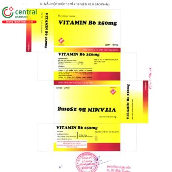 Thuốc Vitamin B6 250mg Vidipha - Điều trị tình trạng thiếu vitamin B6