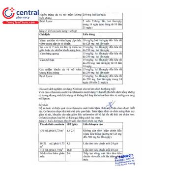 Thuốc Xorimax 250mg: tác dụng, liều dùng, chống chỉ định