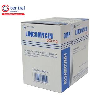 Thuốc kháng sinh Lincomycin 500mg Nghệ An: chỉ định, liều dùng