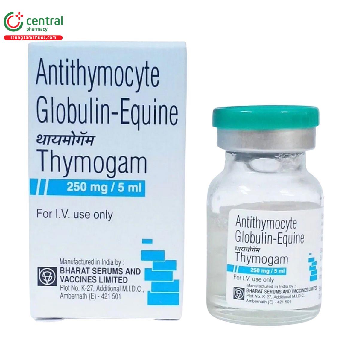 Thuốc Thymogam 250mg/5ml Bharat – Chống đào thải ghép nội tạng