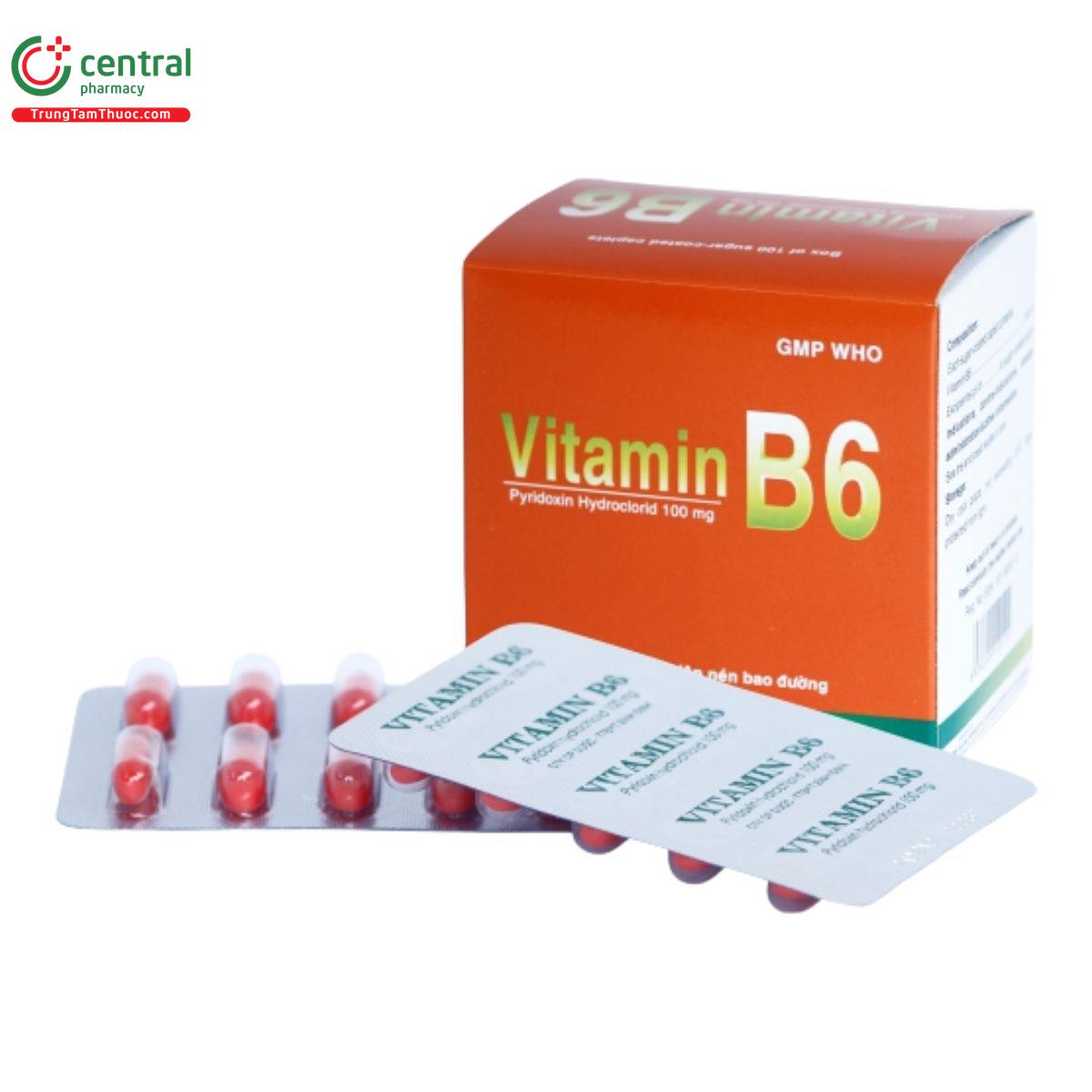 Thuốc Vitamin B6 100mg Bidiphar điều trị thiếu máu nguyên bào sắt
