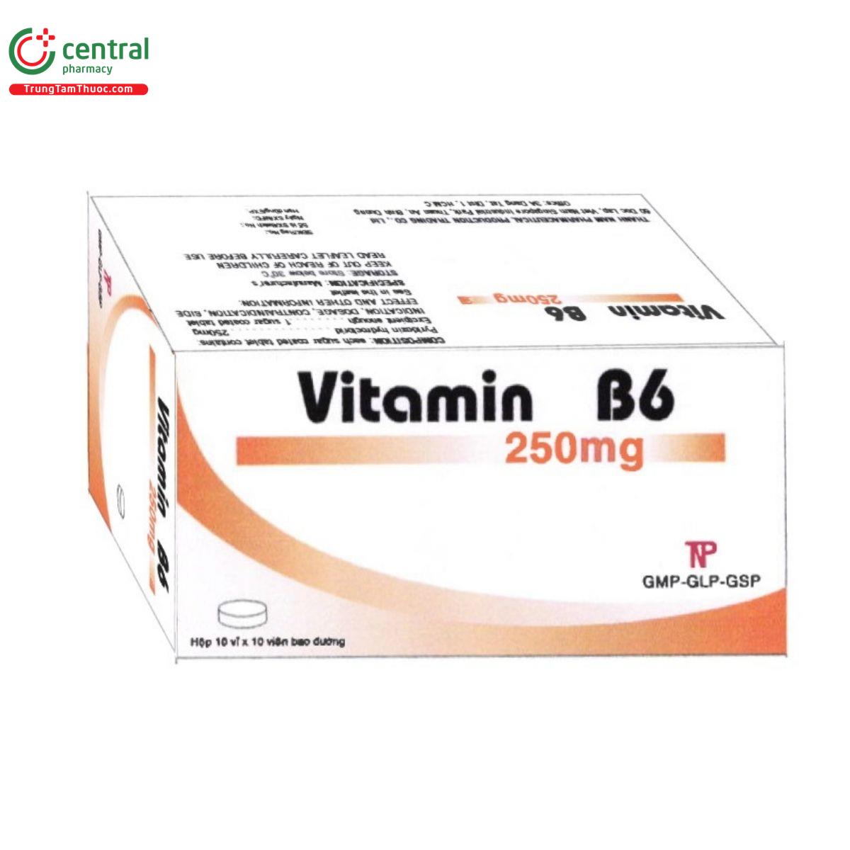 Thuốc Vitamin B6 250mg Thành Nam điều trị tình trạng thiếu Vitamin B6